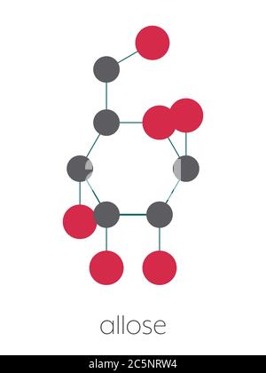 Allose (beta-D-allopyranose form) sugar molecule. Stylized skeletal ...