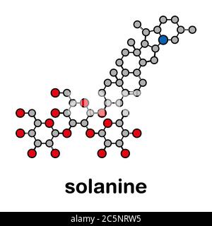 Solanine nightshade poison molecule. Present in potatoes, especially in ...