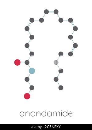 Anandamide endogenous cannabinoid neurotransmitter molecule. Stylized ...