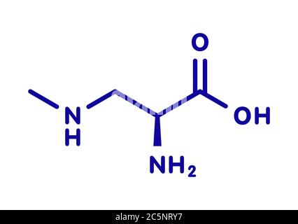 beta-Methylamino-L-alanine (BMAA) toxic amino acid molecule. Produced ...