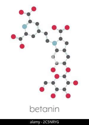 Betanin or beetroot red plant pigment molecule. Skeletal formula Stock ...