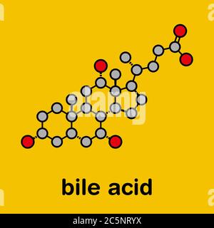 Cholic acid (cholate) molecule. Main bile acid component. Stylized ...
