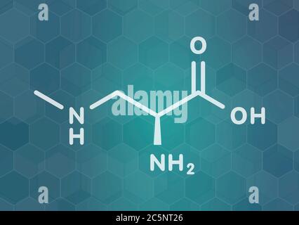 beta-Methylamino-L-alanine (BMAA) toxic amino acid molecule. Produced ...
