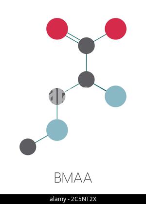 beta-Methylamino-L-alanine (BMAA) toxic amino acid molecule. Produced ...