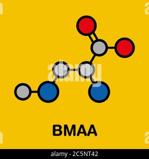 beta-Methylamino-L-alanine (BMAA) toxic amino acid molecule. Produced ...