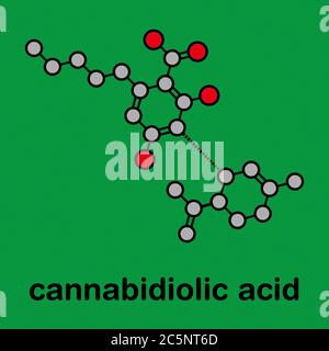 Cannabidiolic acid or CBDA cannabinoid molecule. Skeletal formula Stock ...
