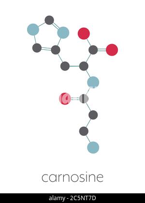 Carnosine (L-carnosine) food supplement molecule. Skeletal formula ...