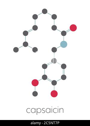 Capsaicin chili pepper molecule. Used in food, drugs, pepper spray, etc ...