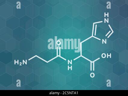 Carnosine (L-carnosine) food supplement molecule. Skeletal formula ...