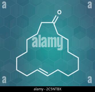 Civetone civet cat pheromone molecule. Used in perfume. Stylized ...