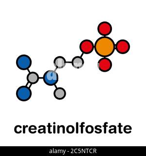 Creatinol-O-Phosphate or COP molecule. Stylized skeletal formula ...
