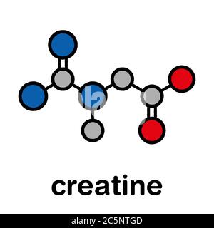 Creatine molecule. Often used in food supplements. Skeletal formula ...