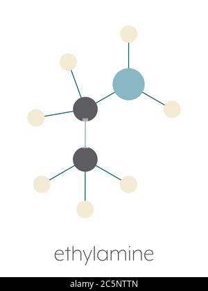 Ethylamine organic base, molecular model. Atoms are represented as ...