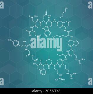 Dynorphin a endogenous opioid peptide molecule. Stylized skeletal ...