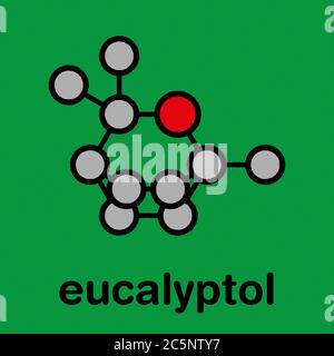 Eucalyptol eucalyptus oil molecule. Stylized skeletal formula (chemical ...
