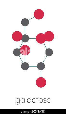 Lactose milk sugar molecule. Stylized skeletal formula (chemical ...