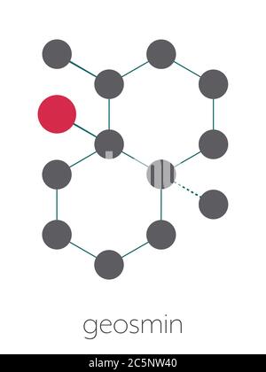 Geosmin earthy flavour molecule. Responsible for the typical taste of ...
