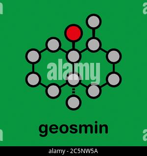 Geosmin earthy flavour molecule. Responsible for the typical taste of ...