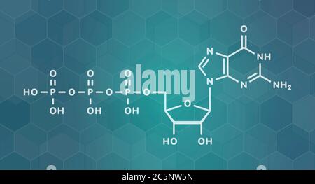 Guanosine triphosphate (GTP) RNA building block molecule. Also used as ...
