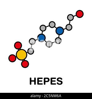 HEPES buffering agent molecule. Stylized skeletal formula (chemical ...