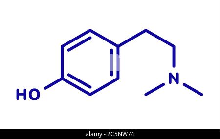 Hordenine (dimethyltyramine) stimulant molecule, chemical structure ...