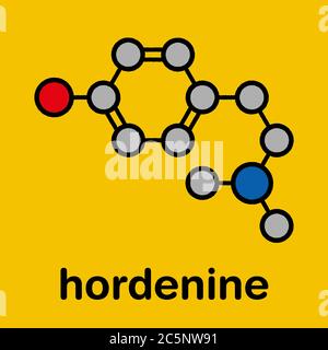 Hordenine (dimethyltyramine) stimulant molecule, chemical structure ...