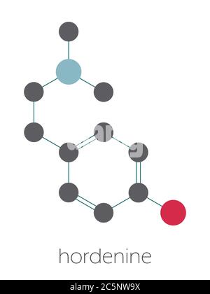 Hordenine (dimethyltyramine) stimulant molecule, chemical structure ...