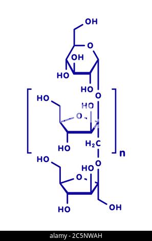 Inulin, chemical structure. Sweet, indigestible carbohydrate, present ...