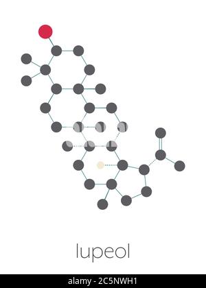 Lupeol molecule. Skeletal formula Stock Photo - Alamy