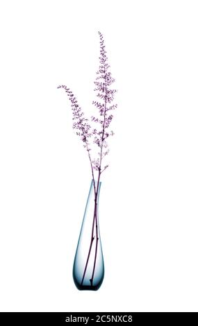 Flowers in a vase Stock Photo - Alamy