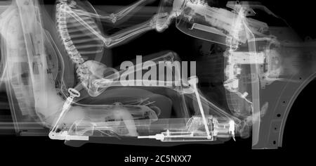 Skeleton at the wheel of a car Stock Photo - Alamy