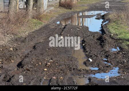 White gray mud dirt puddles after rain Holbox island Mexico Stock Photo ...