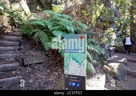 Giant stairway walk trail in the blue mountains national park, couple ...