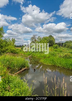 Swider river during the springtime. Poland. Natura 2000 Stock Photo - Alamy