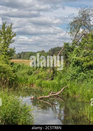 Swider river during the springtime. Poland. Natura 2000 Stock Photo - Alamy