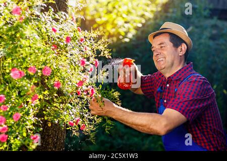 Gardener spraying water on flowers Stock Photo - Alamy