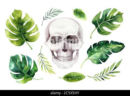 Human watercolor skull with floral bouquets. Head vintage helloween ...