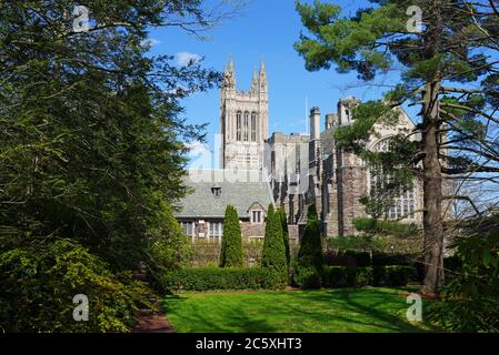 PRINCETON, NJ -28 APR 2020- View of pink cherry blossom trees on the ...