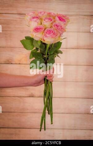 Close up of Esperance roses variety, studio shot Stock Photo - Alamy