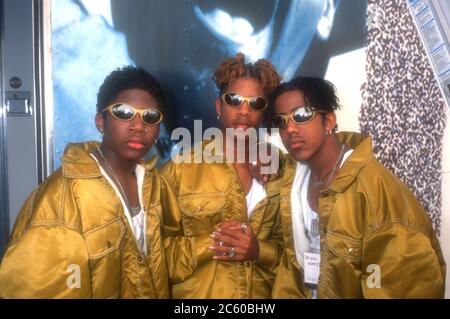 Immature Group Romeo