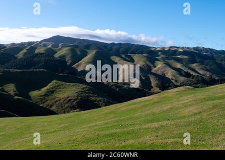 Hilly farmland near Paekakariki, Kapiti, North Island, New Zealand ...