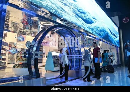 The Discovery Channel store in Dubai Mall, Dubai, UAE Stock Photo - Alamy