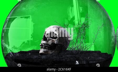 human skull in glass sphere. Isolate. 3d rendering Stock Photo - Alamy