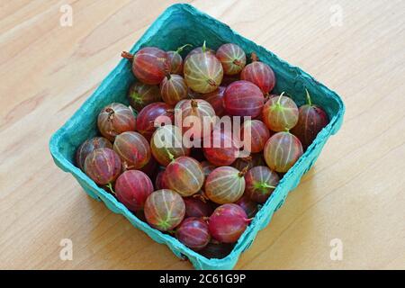 Container of purple gooseberries at a farmers market Stock Photo - Alamy