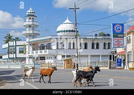 Mosque in a city, Jama Masjid, Old Delhi, India Stock Photo - Alamy