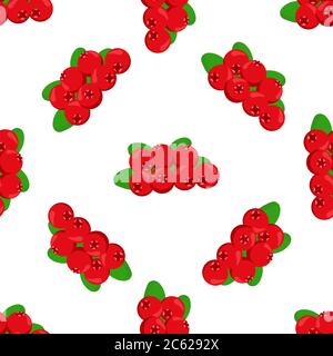 Theme big colored seamless red cranberry, bright berry pattern for seal ...