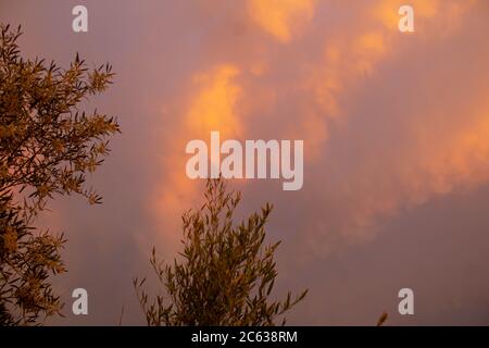 colorful cloudy sky with tree shadows at sunset Stock Photo - Alamy