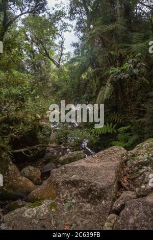 National Park of Alto Caparao Stock Photo - Alamy