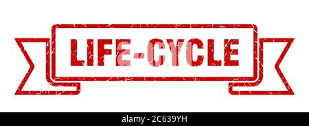 life-cycle ribbon. life-cycle grunge band sign. life-cycle banner Stock ...