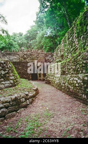 Entrance to the Maya labyrinth or structure 19, Yaxchilan, Chiapas ...